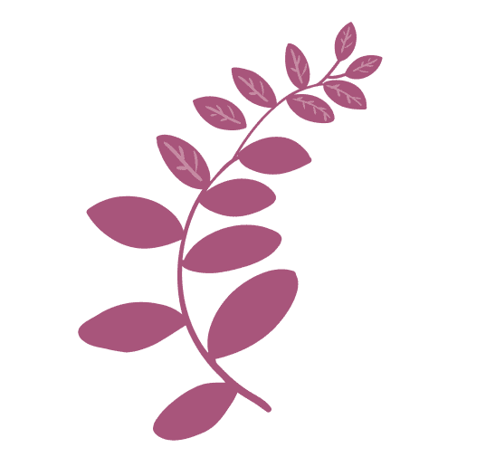 Carte rose à Nescafé