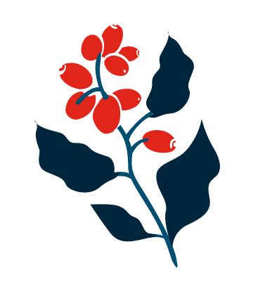 Carte rose à Nescafé